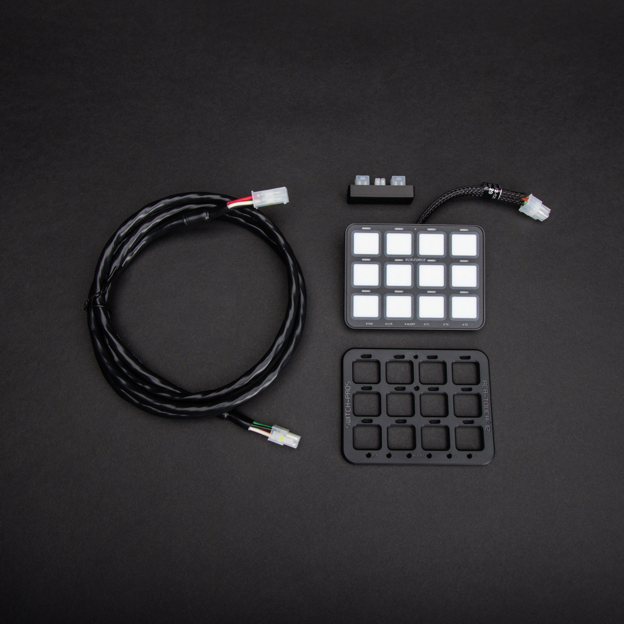 12 Slave Panel for RCR-Force 12 System with Comm Cable and One Legends